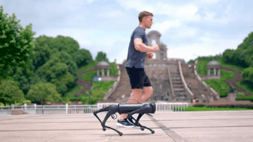 Robot dog | Perro robot | Robot Go 1 | Integritas