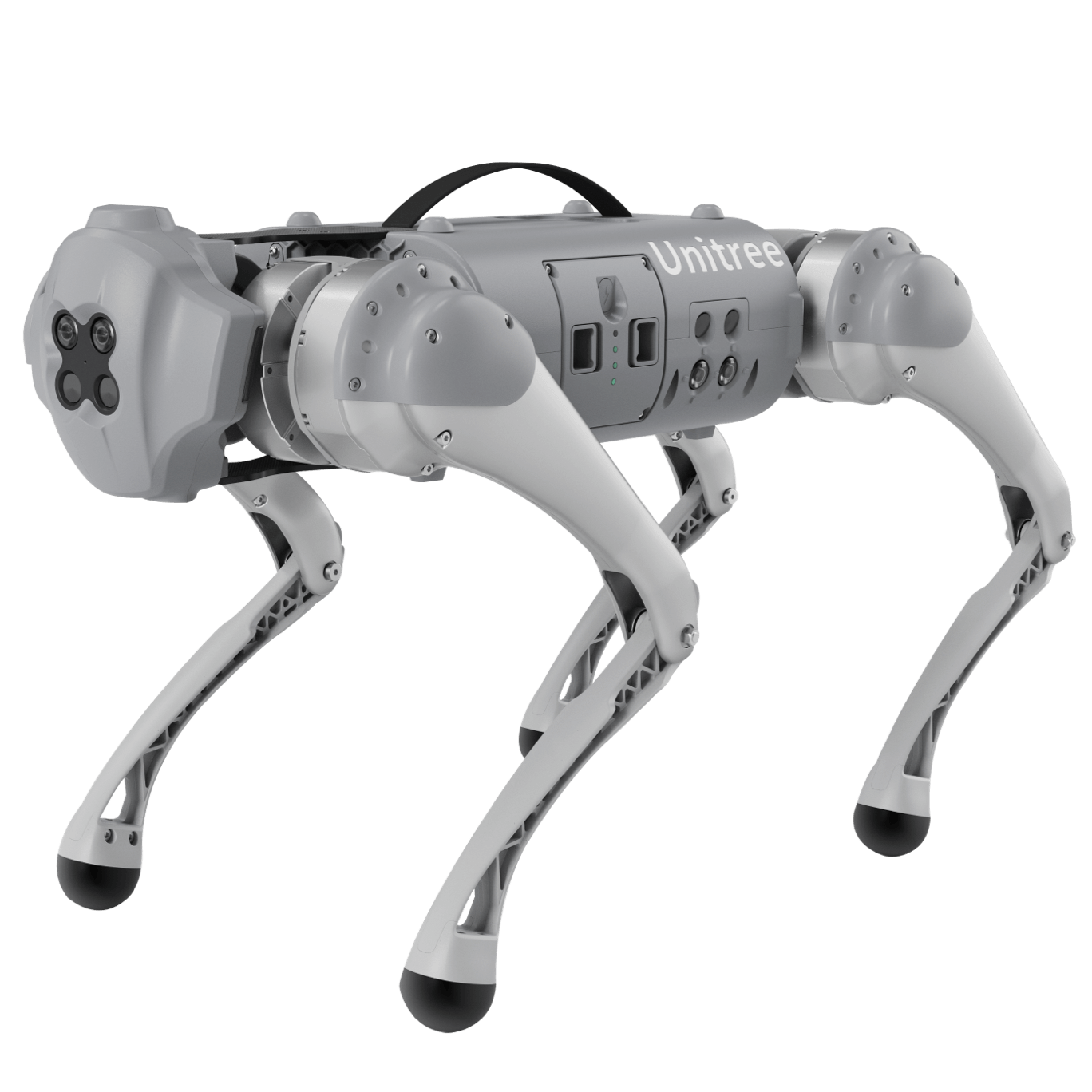 Robot dog | Perro robot | Robot Go 1 | Integritas